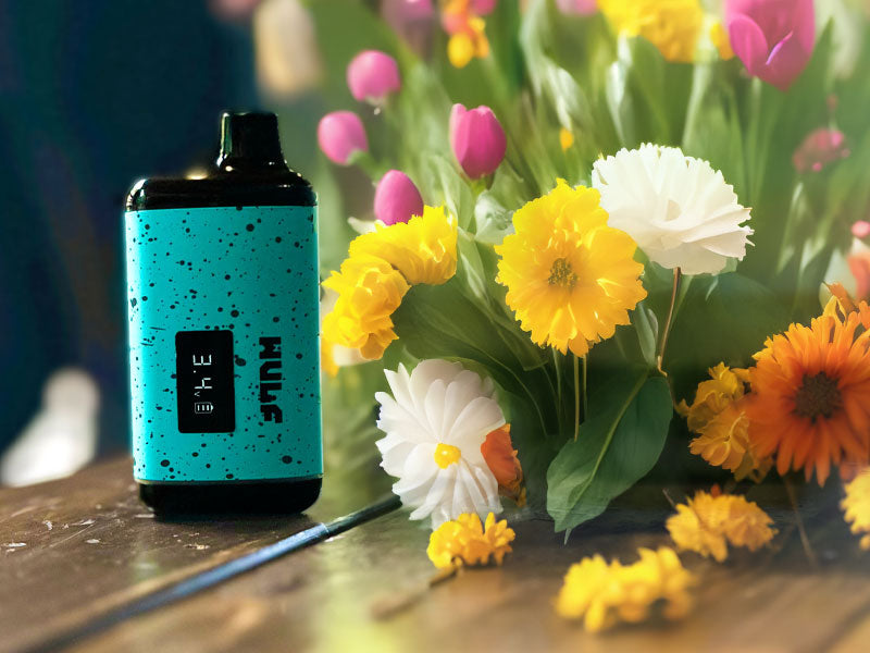 Buy or Register your WULF Vaporizers and Replacement Parts – Wulf Mods